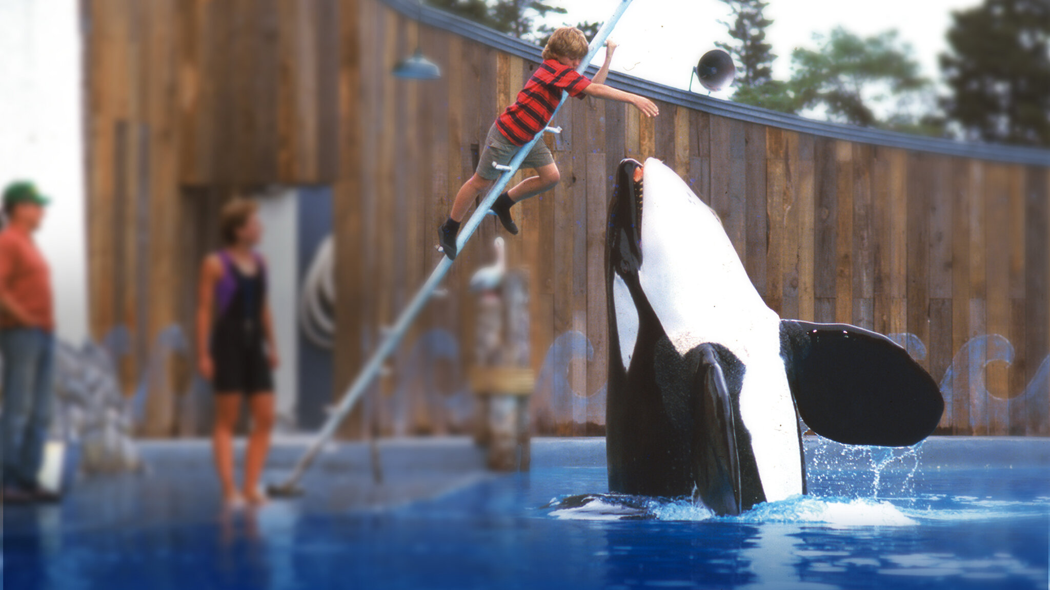 Free Willy Whale