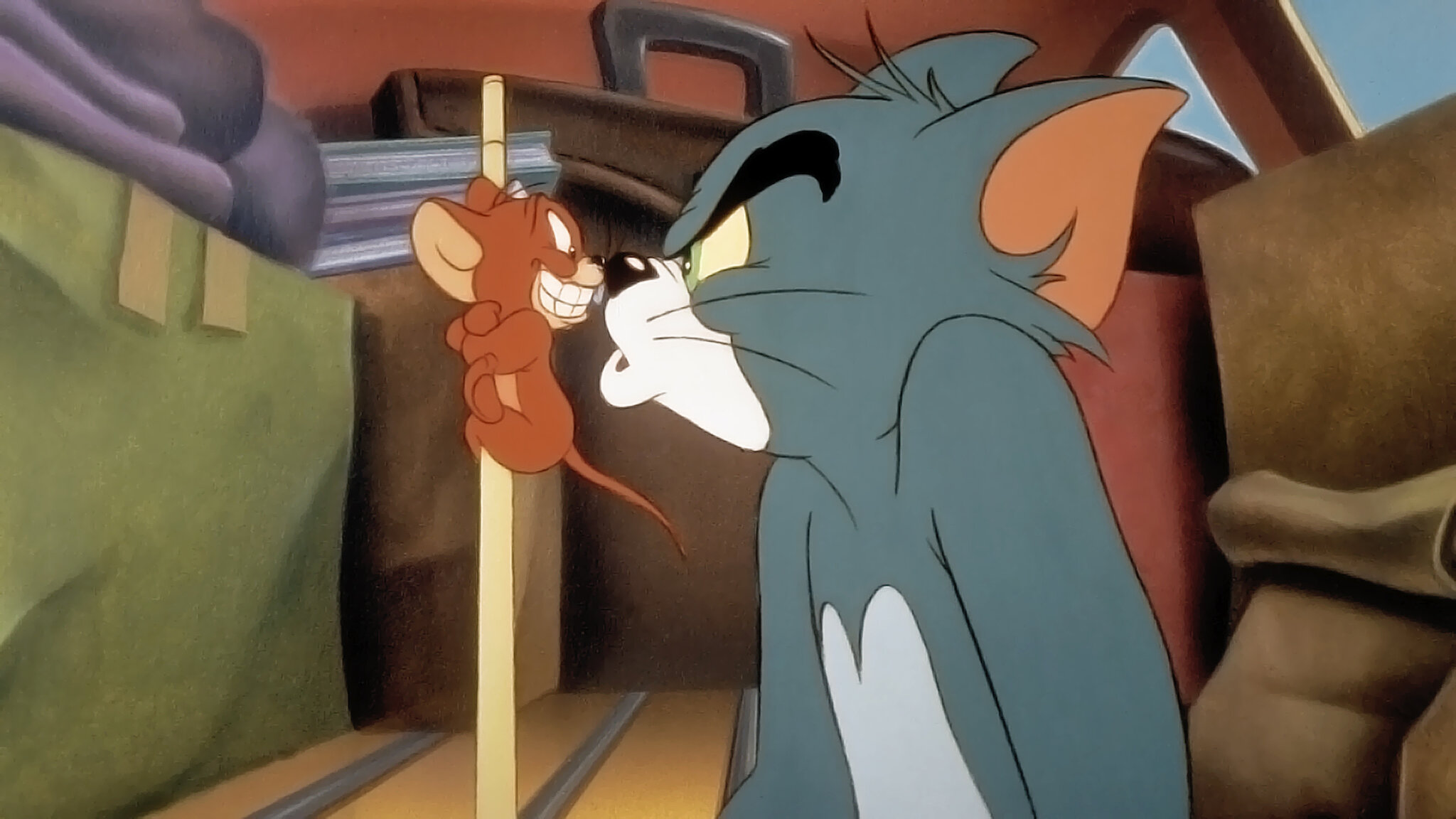 Descargar Videos De Tom Y Jerry