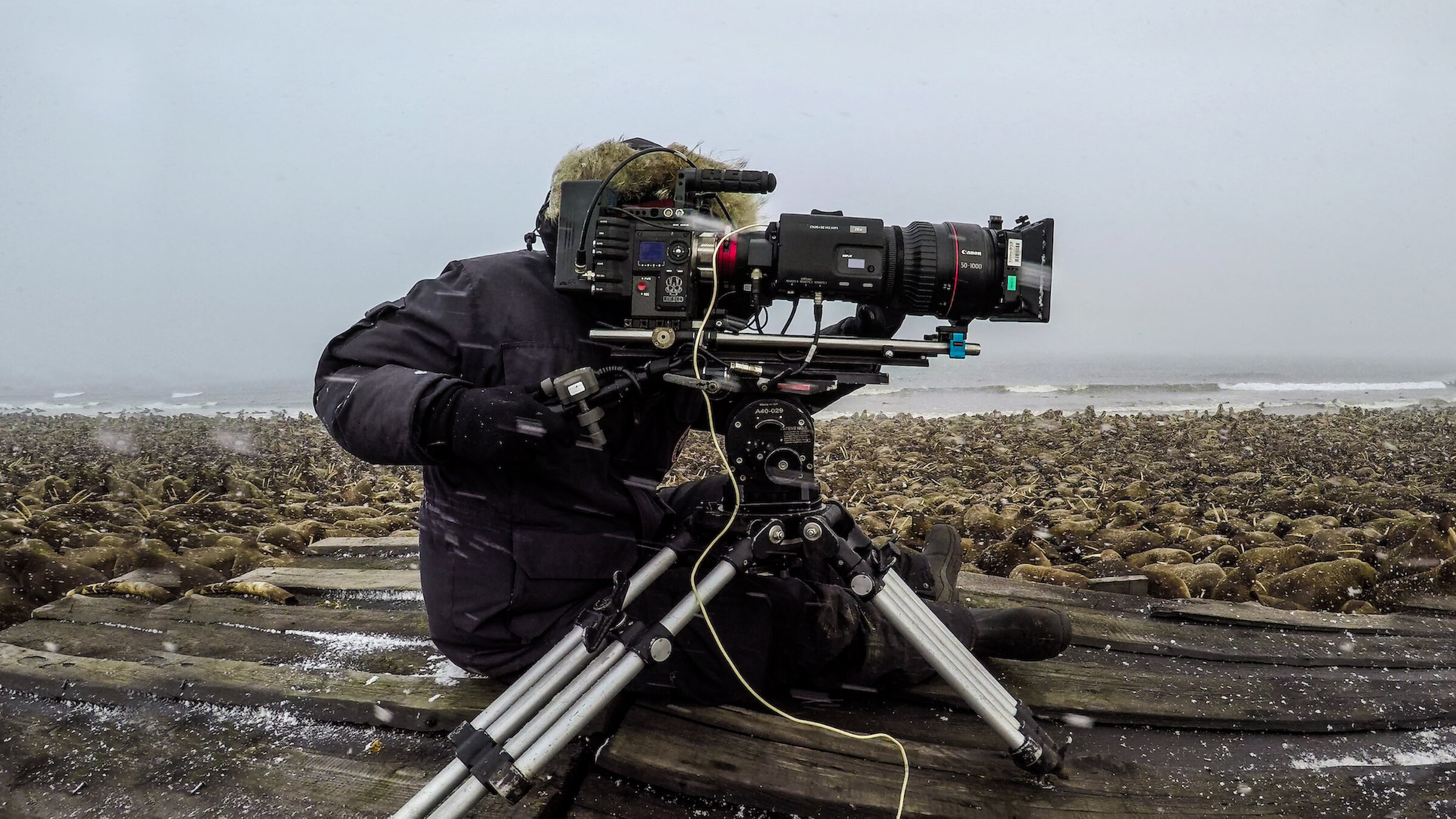 View Our Planet Scenes Extraterrestrial View Featuring Growing Trees