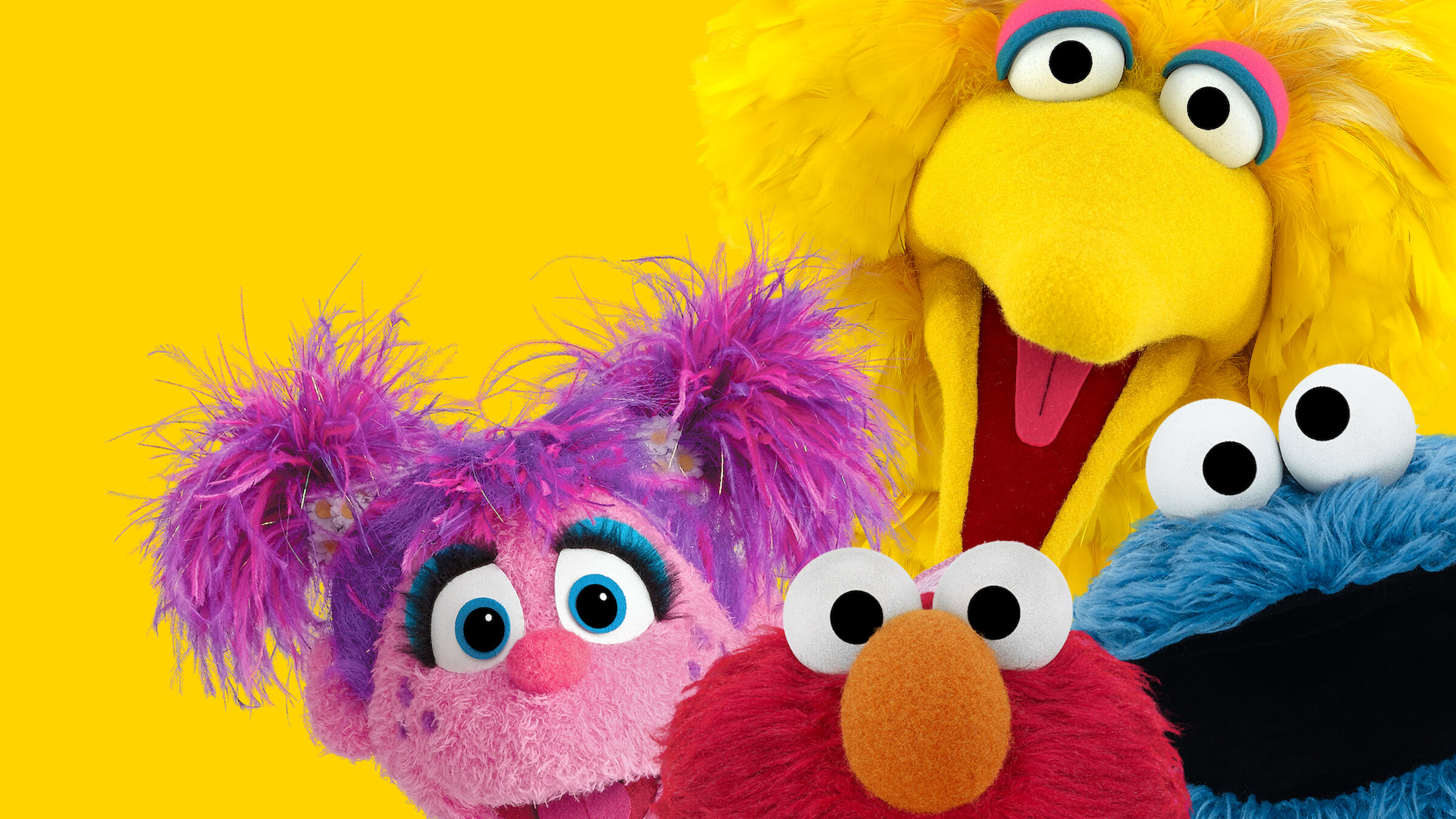 Sesame Street Noses 15 Seconds