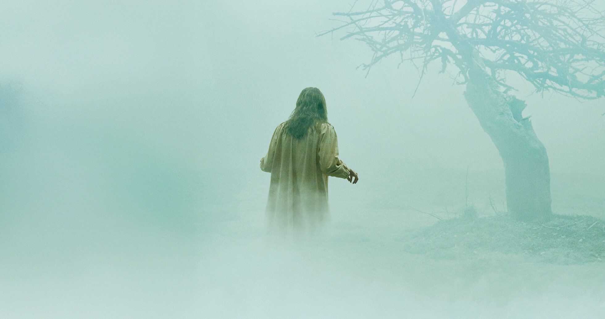 The Exorcism Of Emily Rose Demons Haunted Possession Or Illness? The