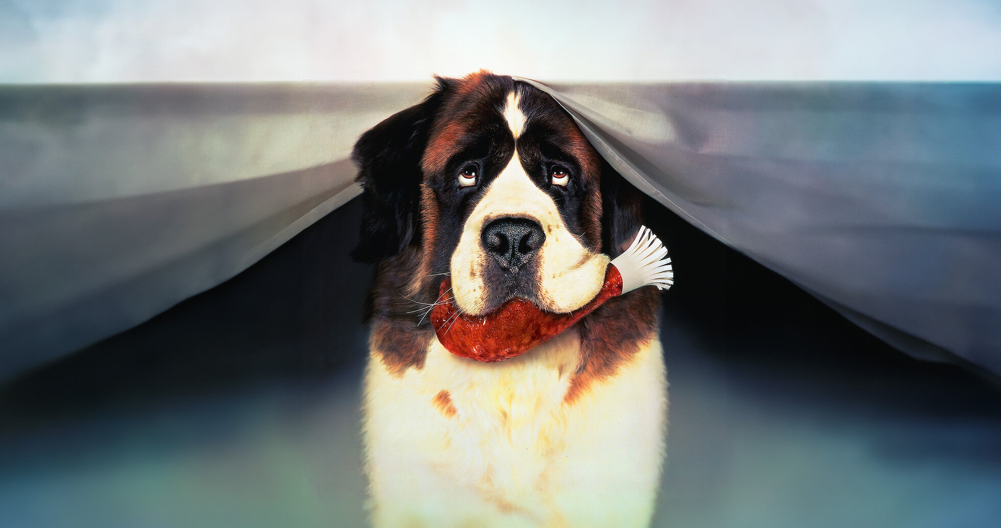 Affiche Du Film Beethoven